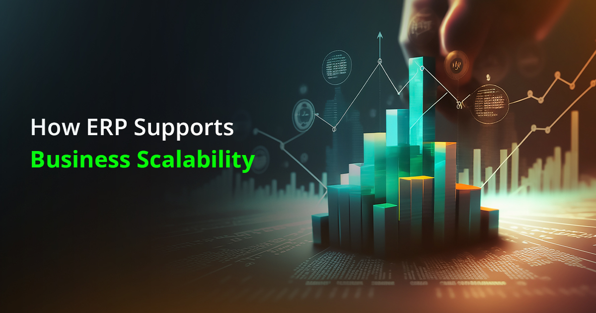 The Power of ERP in Scaling Your Business Operations
