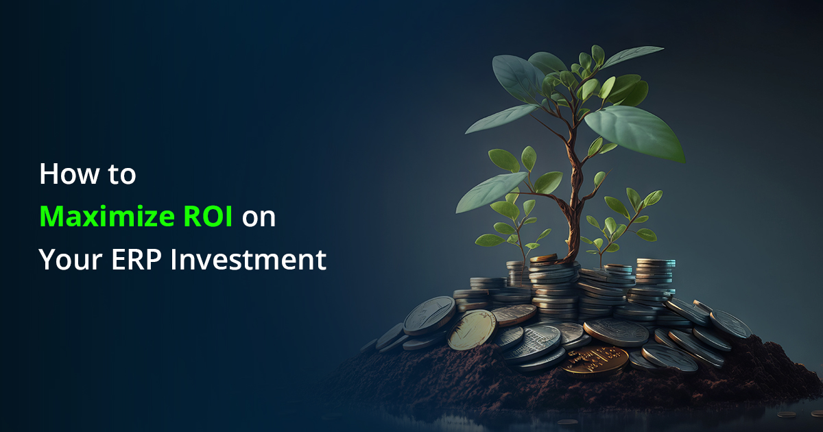 How to Maximize ROI on Your ERP Investment