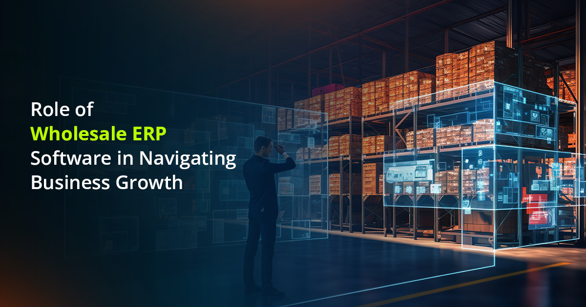 Role of Wholesale ERP Software in Navigating Business Growth